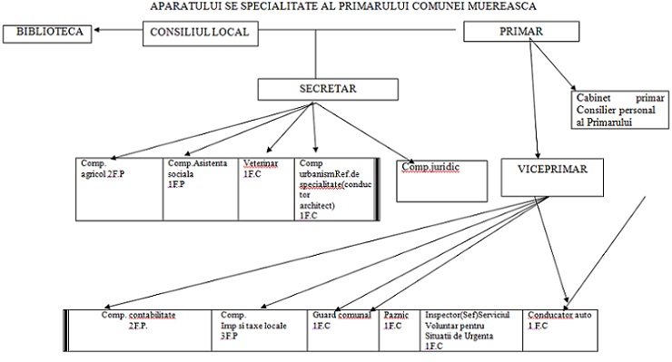 Organigramă – Primăria Comunei Muereasca, județul Vâlcea